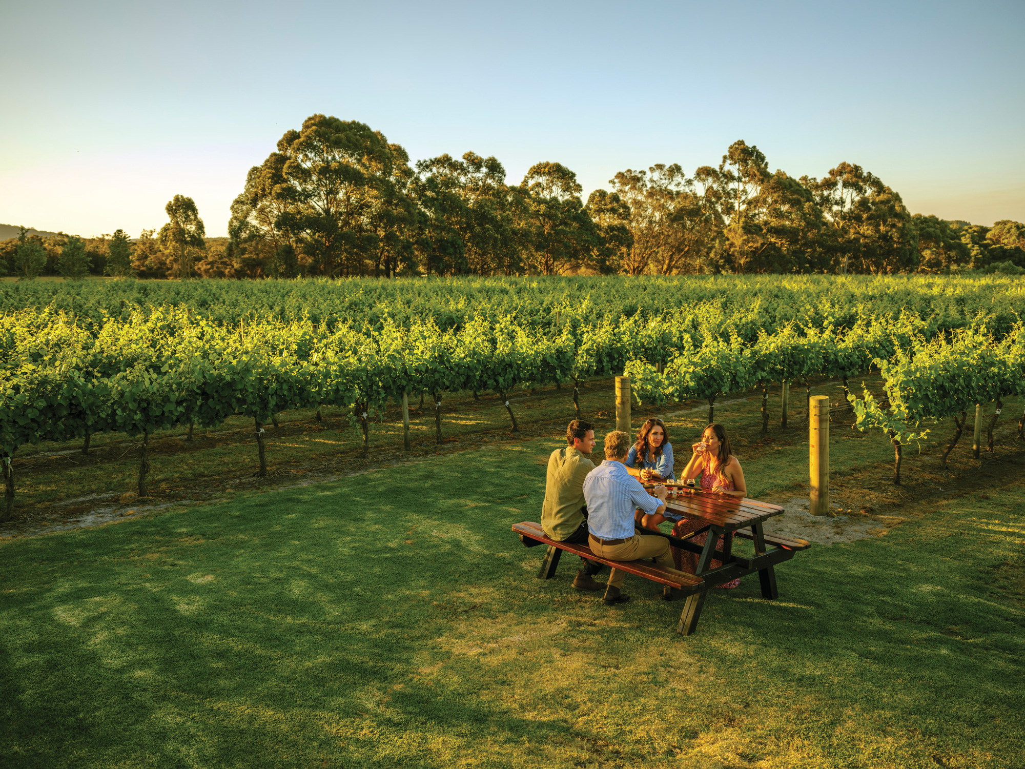 Discover Your State And Taste Great Southern | Brand USA
